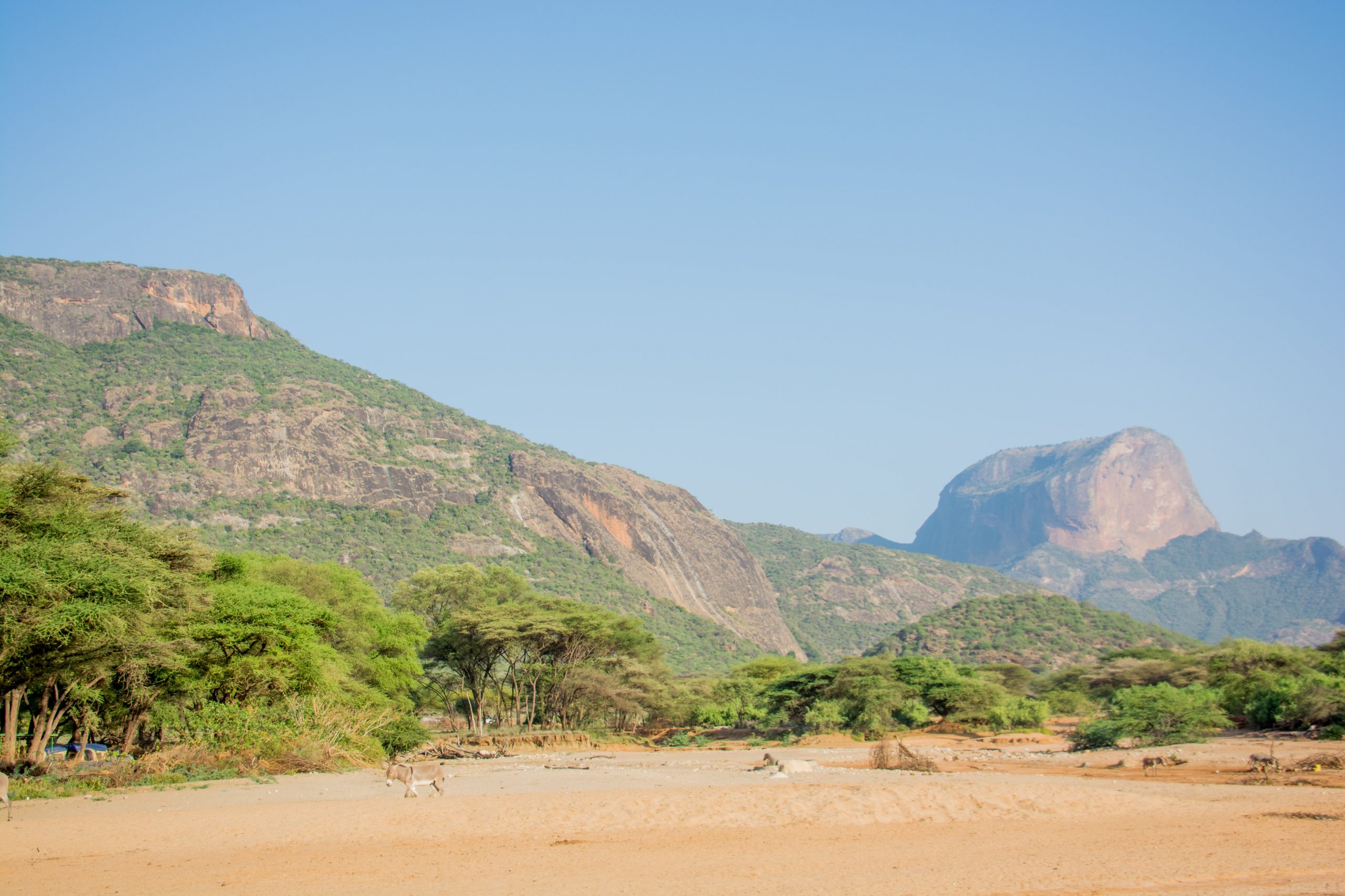 A Northern Kenya Adventure: Part 4 - Ngurunit to Nairobi - Of Chows and ...