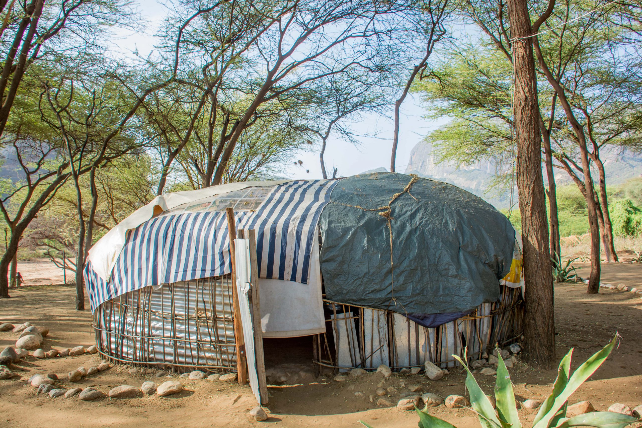 A Northern Kenya Adventure: Part 4 - Ngurunit to Nairobi - Of Chows and ...